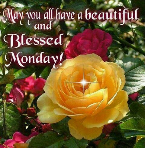 May You All Have A Beautiful And Blessed Monday! Pictures, Photos, and ...