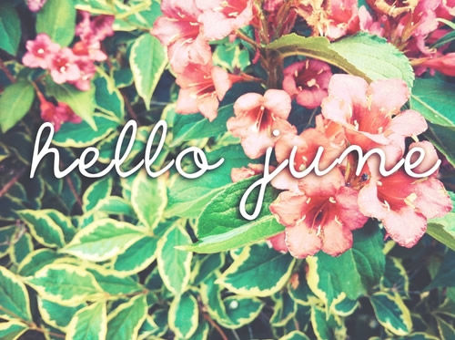 Hello June Pictures, Photos, and Images for Facebook, Tumblr, Pinterest ...