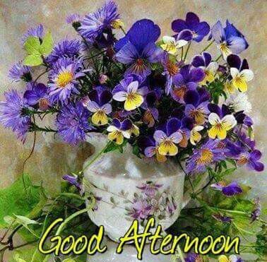 Good Afternoon Pictures, Photos, and Images for Facebook, Tumblr ...