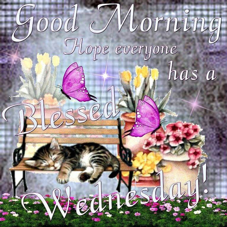 Good Morning, Hope Everyone Has A Blessed Wednesday Pictures, Photos ...