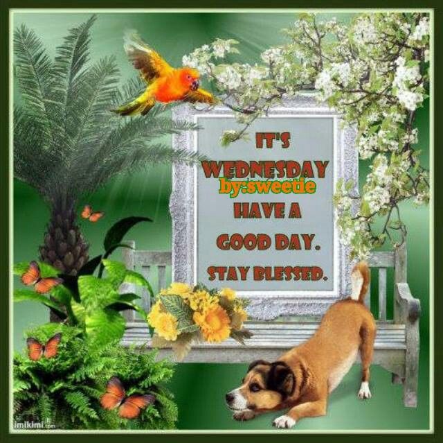 Its Wednesday Have A Good Day Pictures, Photos, and Images for Facebook ...