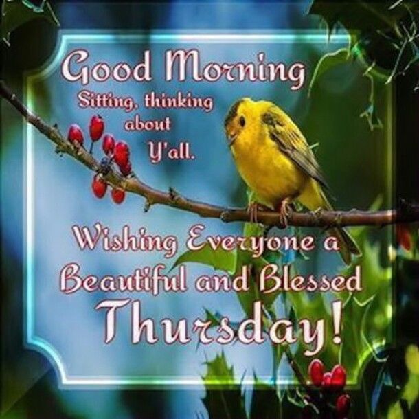 Good Morning, Wishing Everyone A Beautiful And Blessed Thursday ...