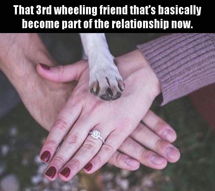 The 3rd Wheeling Friend Pictures, Photos, and Images for Facebook ...