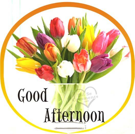 Good Afternoon Pictures, Photos, and Images for Facebook, Tumblr ...