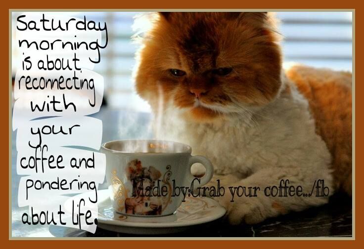 Funny Saturday Morning Pictures