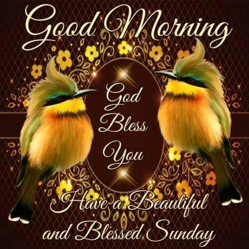 Good Morning, Have A Beautiful And Blessed Sunday Pictures, Photos, and ...