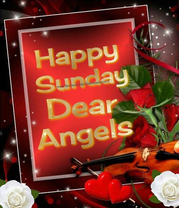 Happy Sunday, Dear Angels Pictures, Photos, and Images for Facebook ...