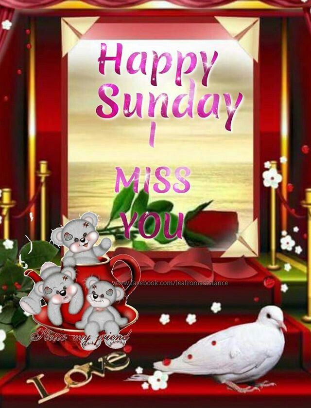 Happy Sunday, I Miss You Pictures, Photos, and Images for Facebook ...
