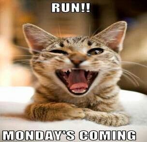 Run!! Monday's Coming Pictures, Photos, and Images for Facebook, Tumblr ...