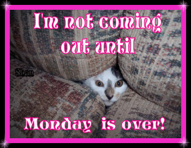 Im Not Coming Out Until Monday Is Over Pictures, Photos, and Images for ...