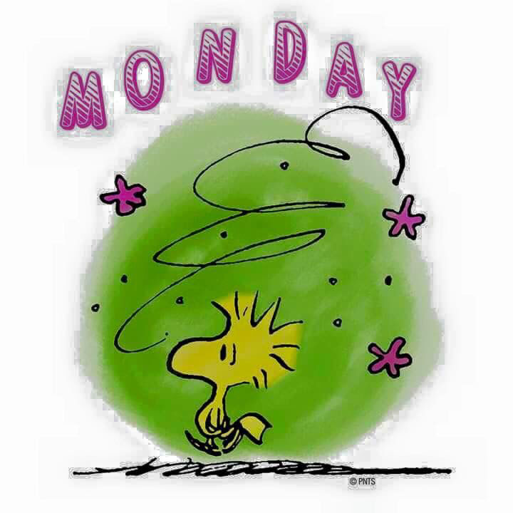 Woodstock Monday Pictures, Photos, and Images for Facebook, Tumblr ...