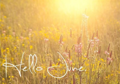 Hello June Pictures, Photos, and Images for Facebook, Tumblr, Pinterest ...
