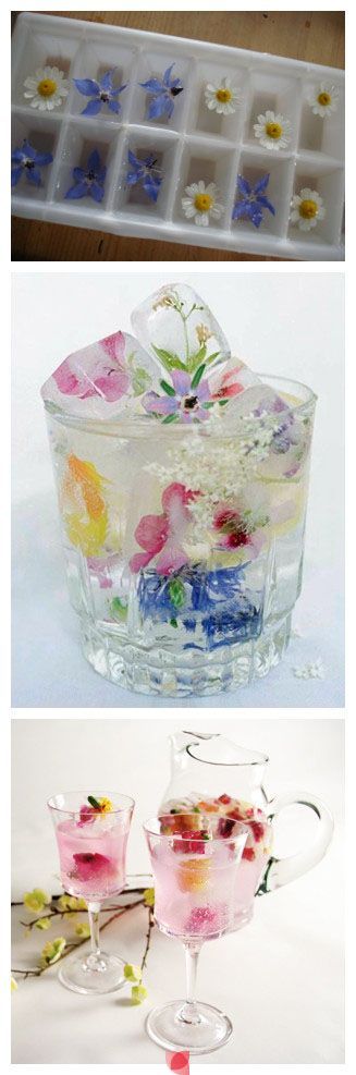 19 Flavorful Ways To Liven Up Your Summer Ice Cubes Pictures, Photos ...