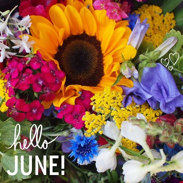 Hello June Pictures, Photos, and Images for Facebook, Tumblr, Pinterest ...