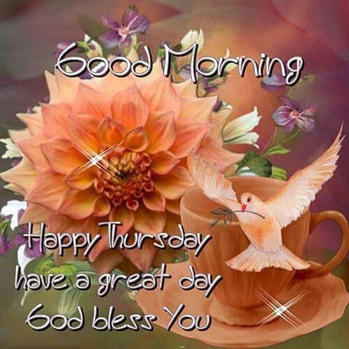 Good Morning, Happy Thursday Have A Great Day, God Bless You Pictures ...