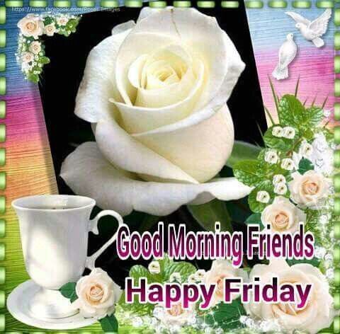 Good Morning Friends, Happy Friday Pictures, Photos, and Images for ...