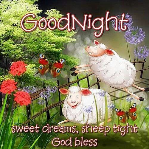 Goodnight Sweet Dreams, Sheep Tight, God Bless Pictures, Photos, and ...