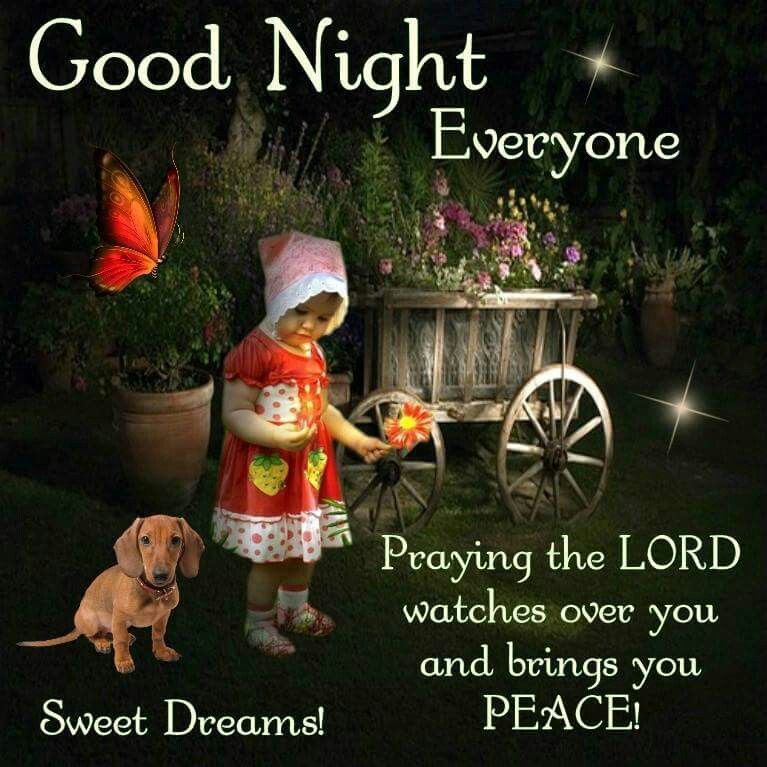 Goodnight Everyone Pictures, Photos, and Images for Facebook, Tumblr ...