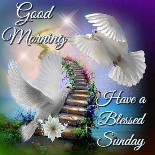 Good Morning, Have A Blessed Sunday Pictures, Photos, and Images for ...