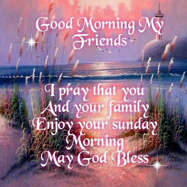 Good Morning My Friends, Enjoy Your Sunday Pictures, Photos, and Images ...