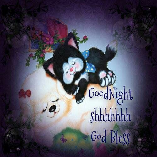 Good Night God Bless Pictures, Photos, and Images for Facebook, Tumblr ...