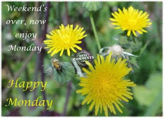 Weekends Over Not Enjoy Monday Pictures, Photos, and Images for ...