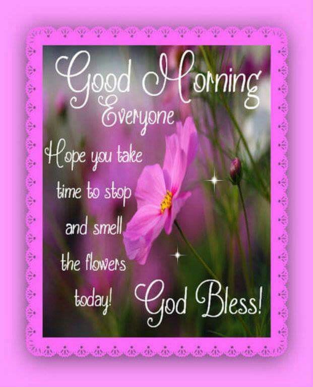 Good Morning Everyone Pictures, Photos, and Images for Facebook, Tumblr ...