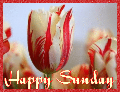 Happy Sunday Pictures, Photos, and Images for Facebook, Tumblr ...