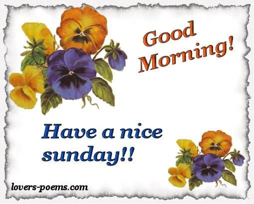 Good Morning, Have A Nice Sunday Pictures, Photos, and Images for ...