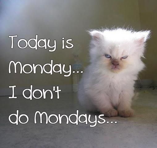 I Don't Do Mondays Pictures, Photos, and Images for Facebook, Tumblr ...