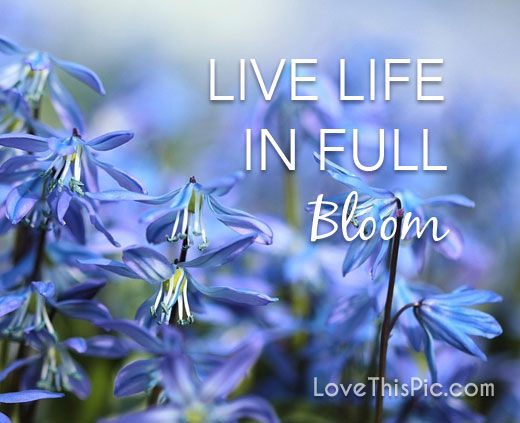 Live Life Pictures, Photos, and Images for Facebook, Tumblr, Pinterest ...