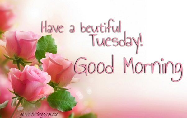 Have A Beautiful Tuesday, Good Morning Pictures, Photos, and Images for ...