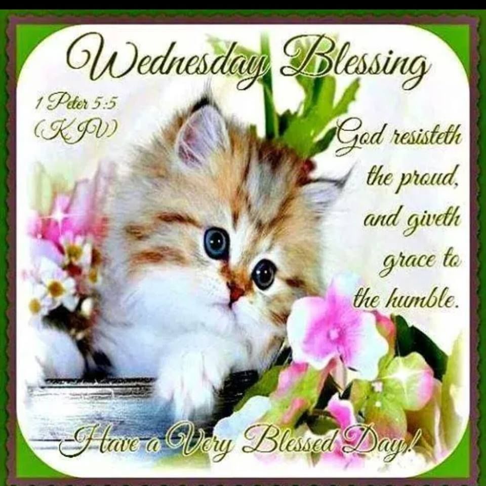 Wednesday Blessings Pictures, Photos, and Images for Facebook, Tumblr ...
