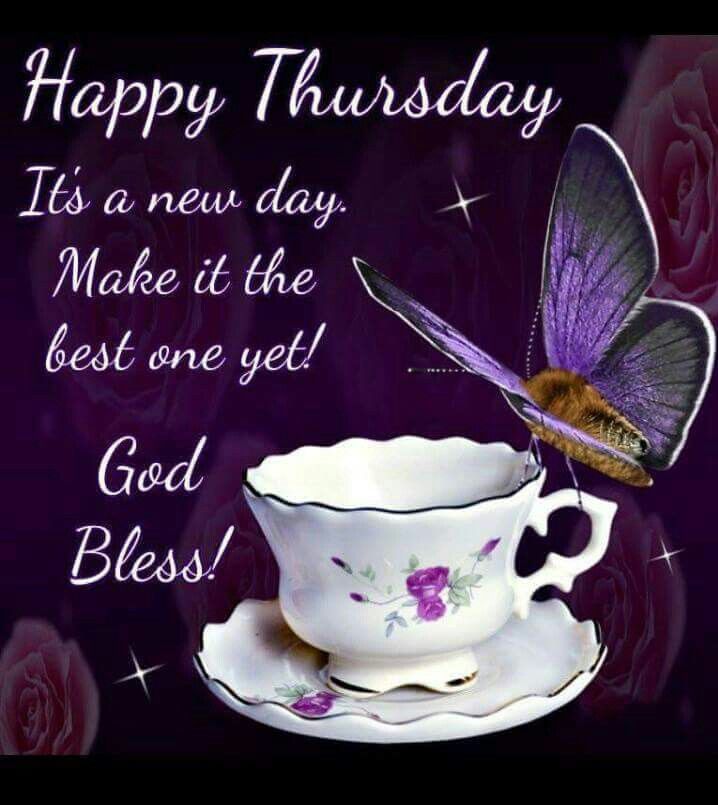 Happy Thursday Tumblr