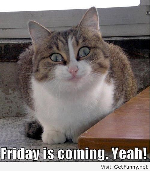 Friday Is Coming. Yeah! Pictures, Photos, and Images for Facebook ...