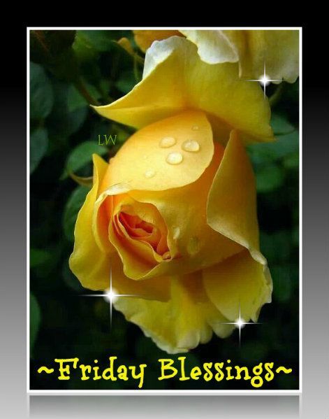 Friday Blessings Pictures, Photos, and Images for Facebook, Tumblr ...