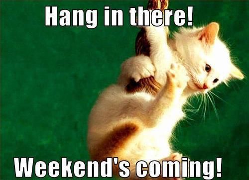 Hang In There Weekend's Coming Pictures, Photos, and Images for ...