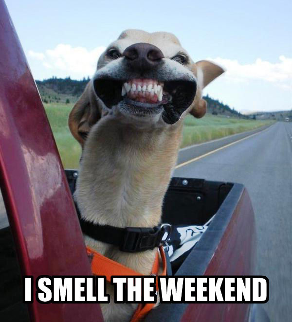 I Smell The Weekend Pictures, Photos, and Images for Facebook, Tumblr ...