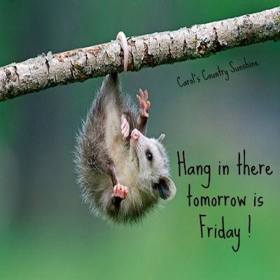 Tomorrow Is Friday Pictures, Photos, and Images for Facebook, Tumblr ...