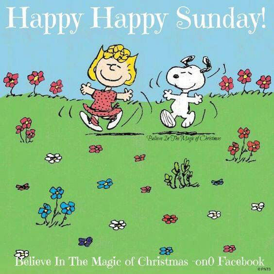 Happy Happy Sunday! Pictures, Photos, and Images for Facebook, Tumblr ...