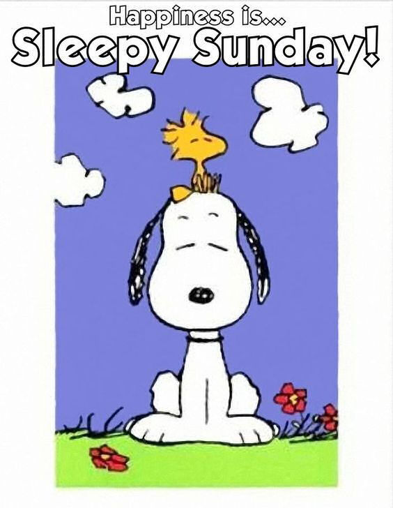 Happiness Is A Sleepy Sunday Pictures, Photos, and Images for Facebook ...