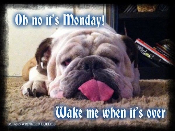 Oh No! It's Monday Pictures, Photos, and Images for Facebook, Tumblr ...
