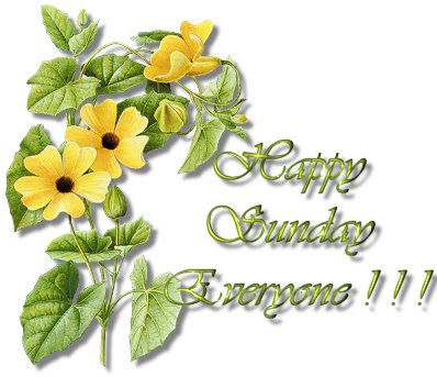 Happy Sunday Everyone Pictures, Photos, and Images for Facebook, Tumblr ...