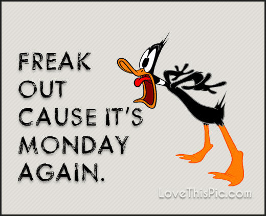 Freak Out Cause Its Monday Again Pictures, Photos, and Images for ...