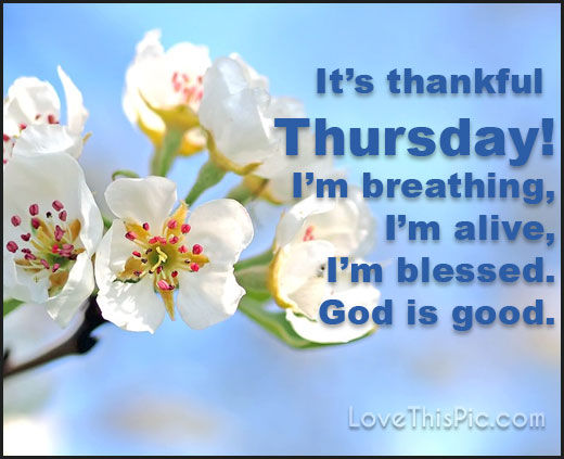 Thankful Thursday Pictures, Photos, and Images for Facebook, Tumblr ...