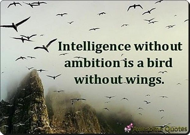 Intelligence Without Ambition Is A Bird Without Wings Pictures, Photos ...