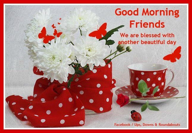 Good Morning Friends Pictures, Photos, and Images for Facebook, Tumblr ...