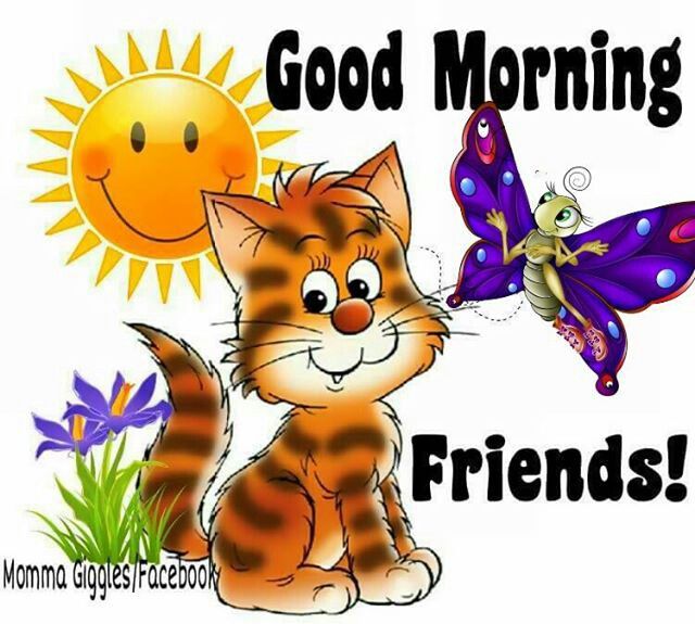 Good Morning Friends Pictures, Photos, and Images for Facebook, Tumblr ...