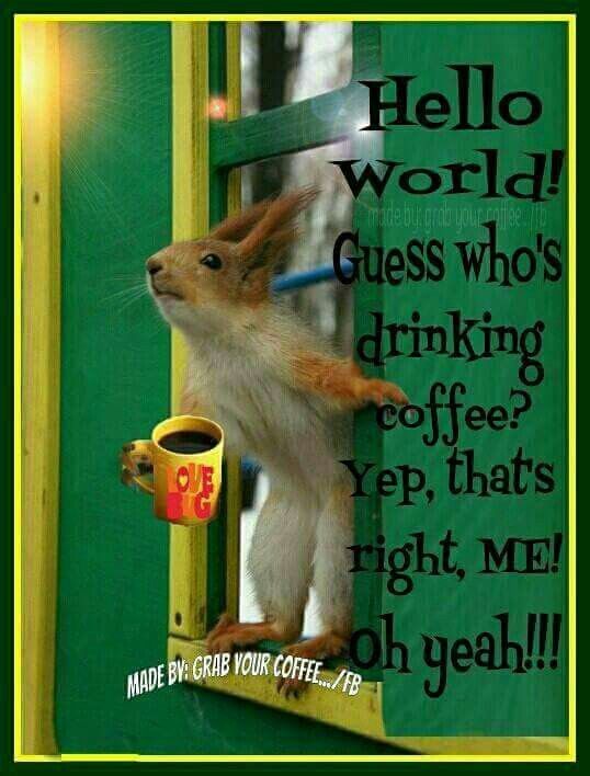 Hello World Guess Who Is Drinking Coffee! Pictures, Photos, and Images ...