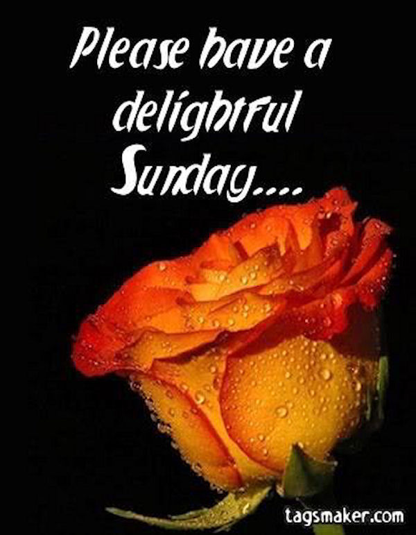 Please Have A Delightful Sunday Pictures, Photos, and Images for ...